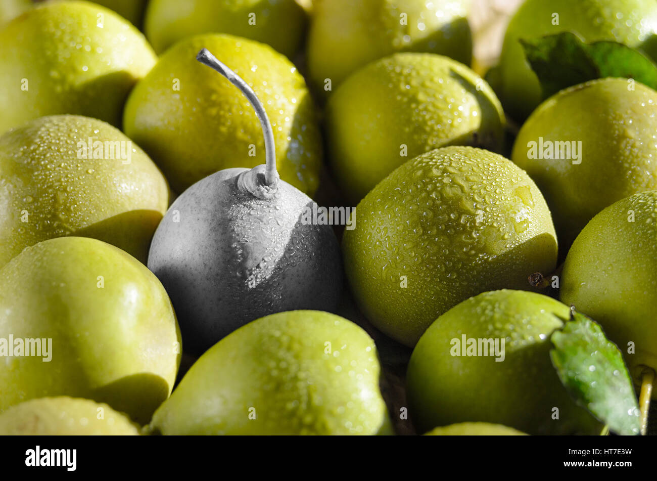 Juicy green pears with water drops on crumpled craft paper. Alone gray ...