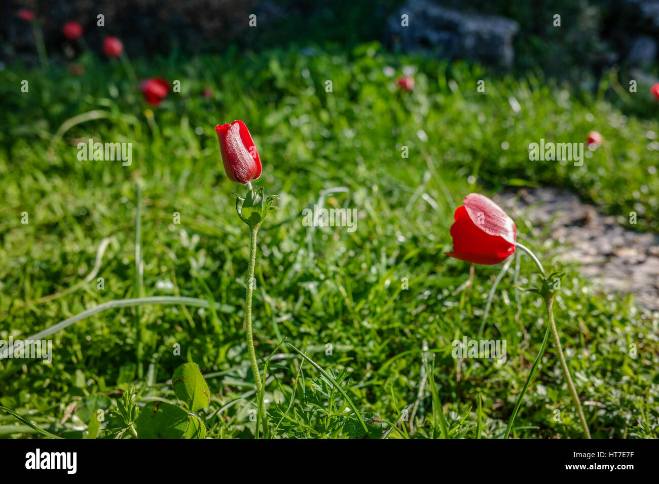 Awesome image hi-res stock photography and images - Alamy