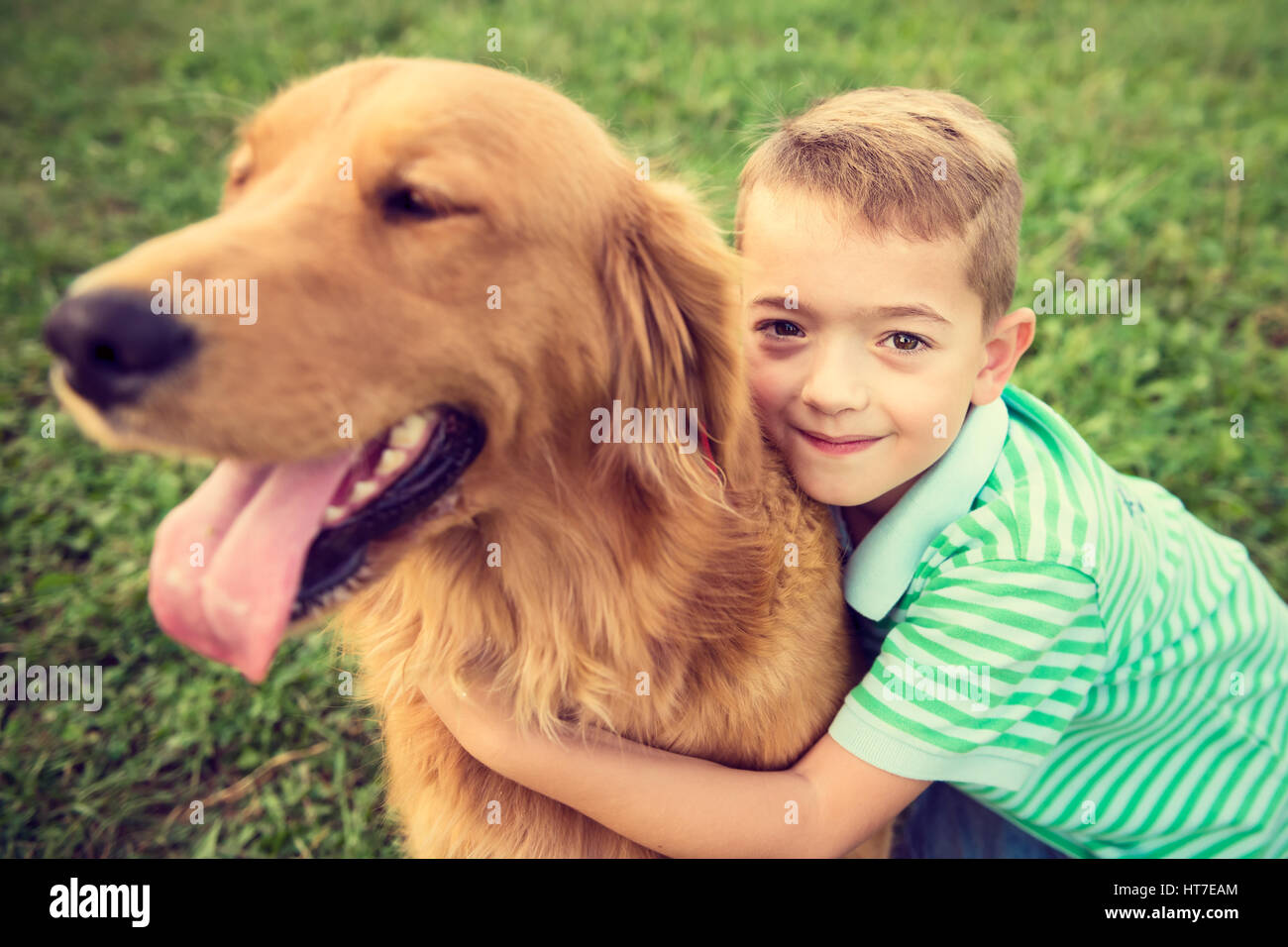 Boy playing with golden retriever hi-res stock photography and images ...