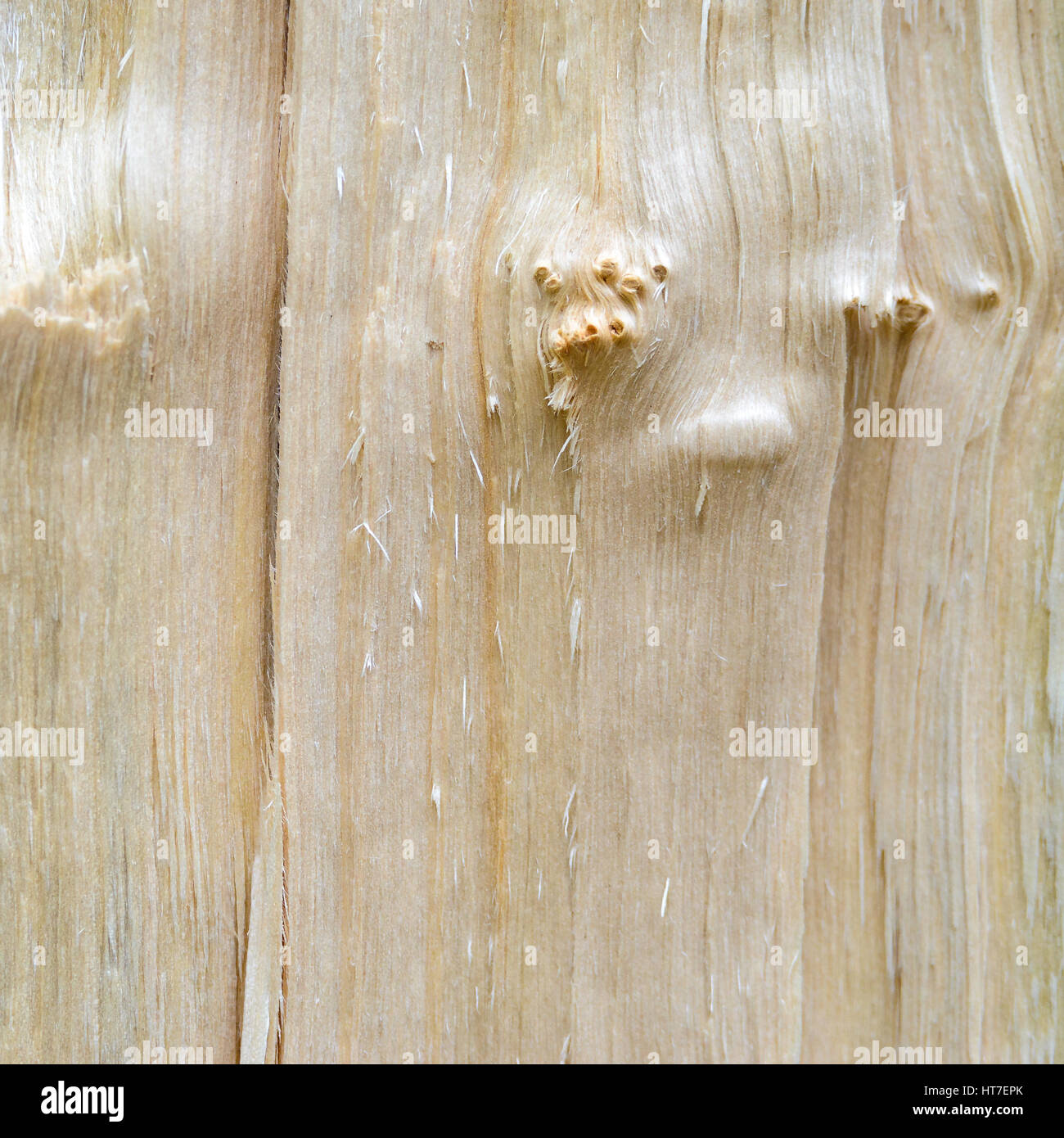 Splintertree close-up wooden texture. Natural background pattern Stock ...