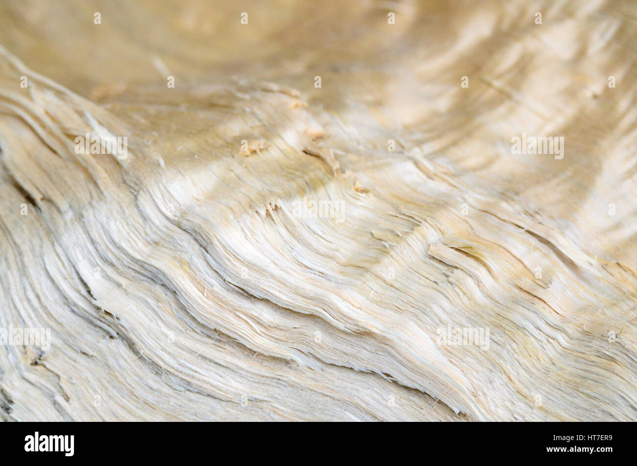 Abstract wood waves background. Splintertree close-up wooden texture ...