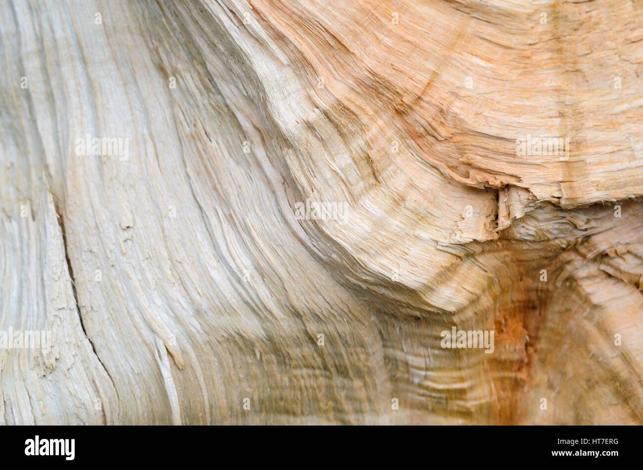 Abstract wood waves background. Splintertree close-up wooden texture ...