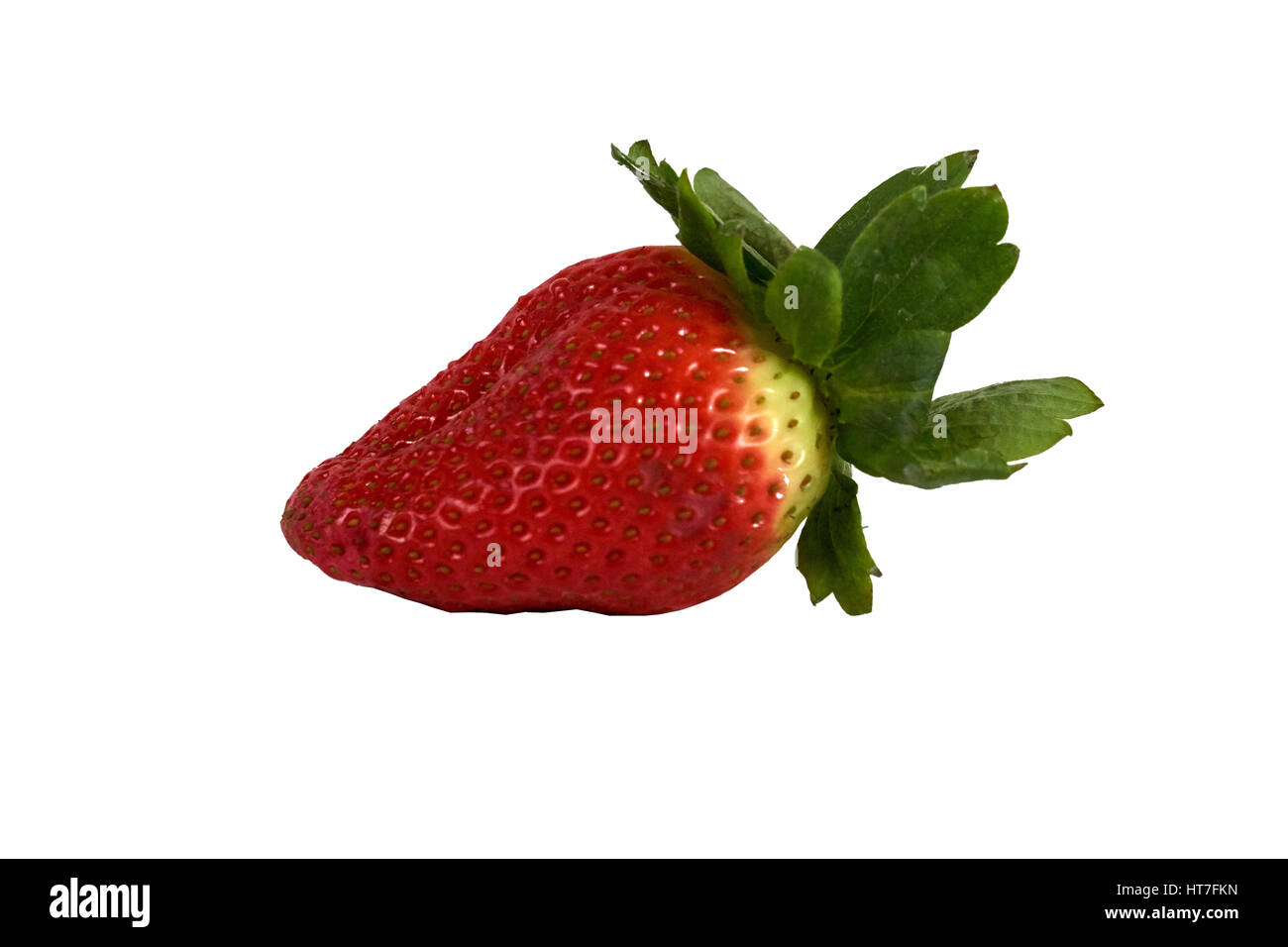 Serre agricole hi-res stock photography and images - Alamy