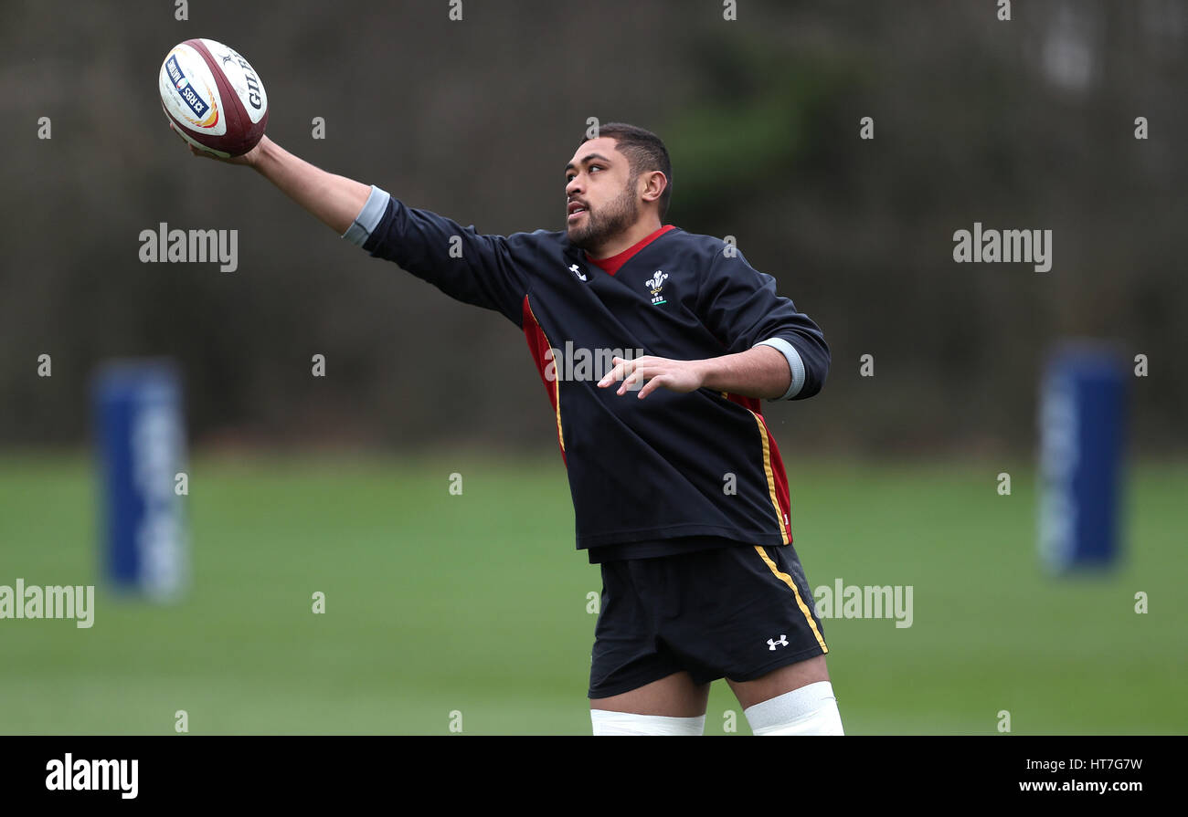 Wales Taulupe Faletau during the training session at the Vale Resort ...