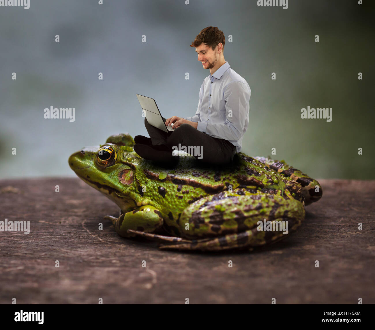 Businessman sitting on a frog and working on laptop, unconventional ...