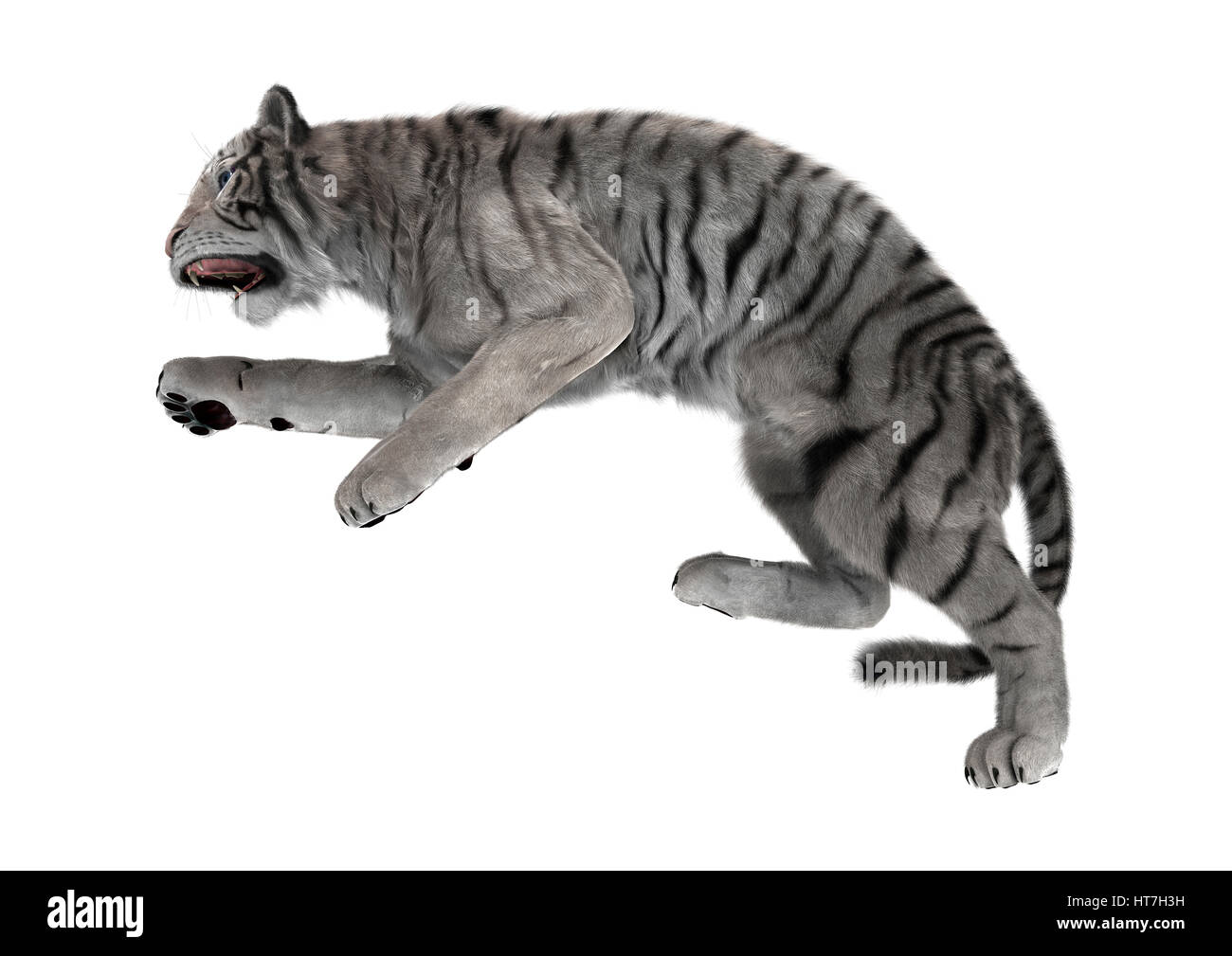3D rendering of a white tiger jumping isolated on white background ...
