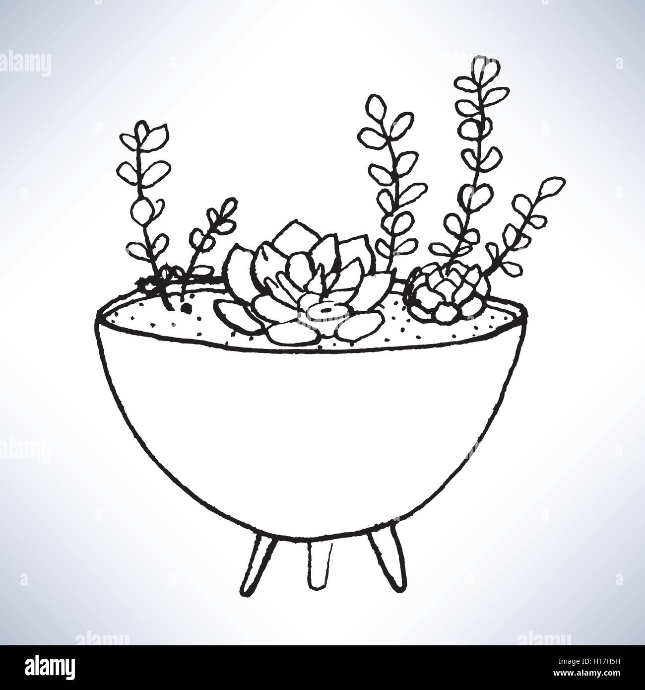 Hand drawn fresh plants Stock Vector Images - Alamy