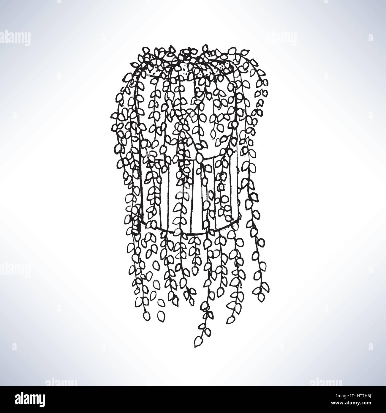 Green potted plant in white Stock Vector Images - Alamy