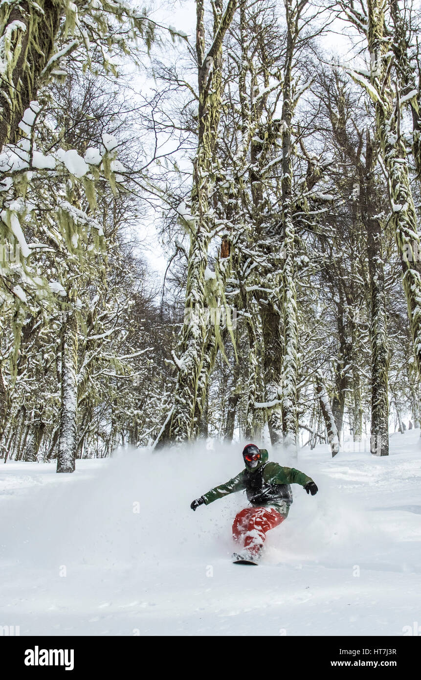 Professional Snowboarder Andrew Burns Makes A Turn In The Forest And ...