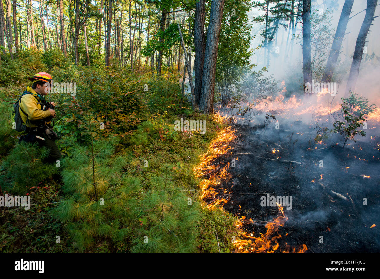 The Slow And Steady Progress Of A Controlled Burn In Madison, New ...