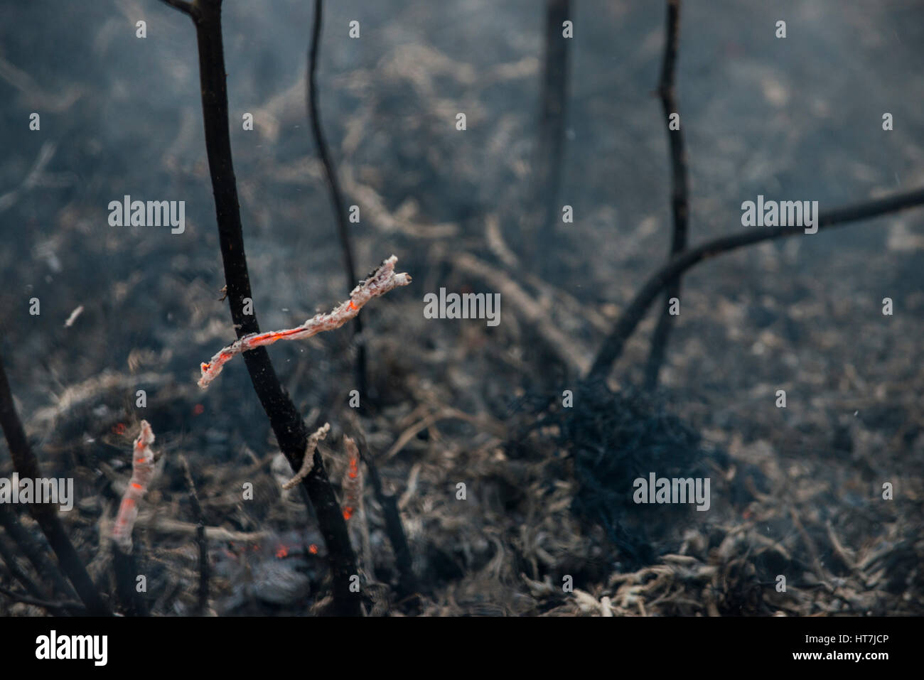 Smoldering hi-res stock photography and images - Alamy