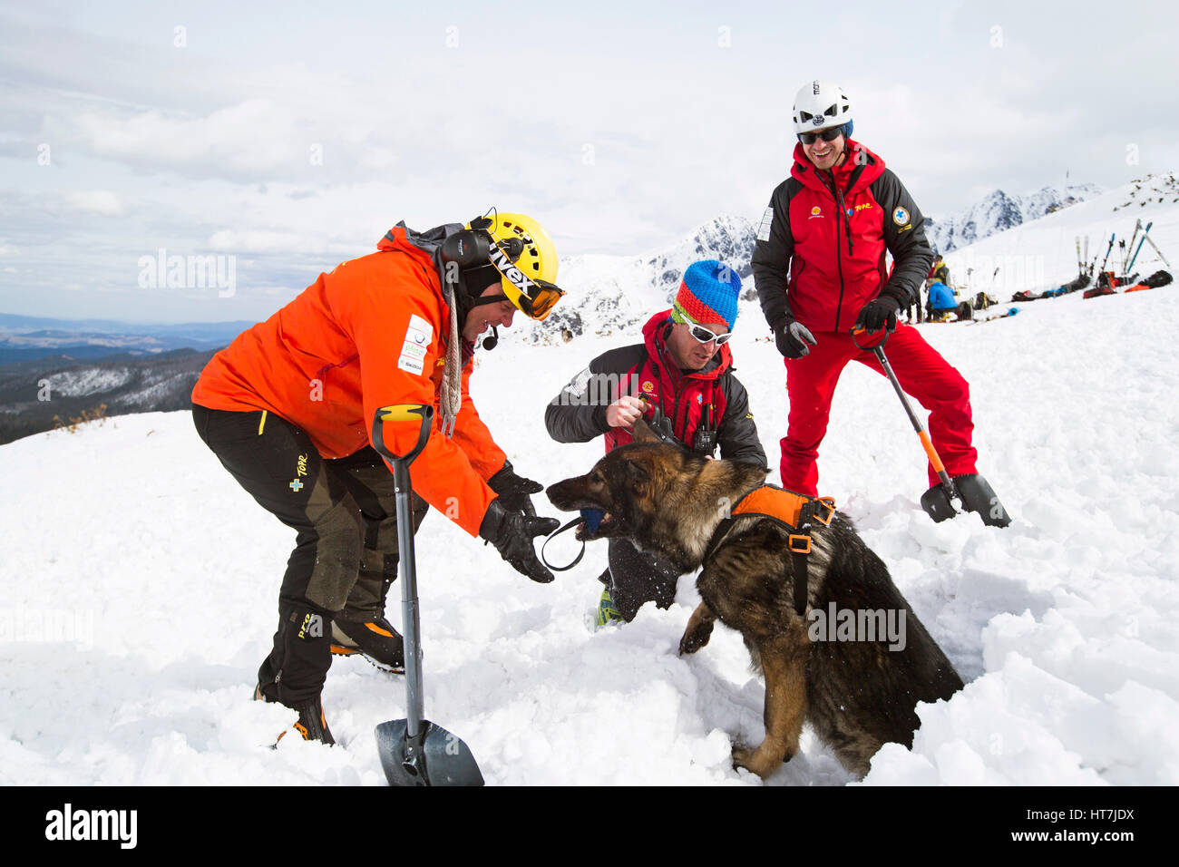A Mountain Rescue Team Practices With Avalanche Dog Stock Photo - Alamy