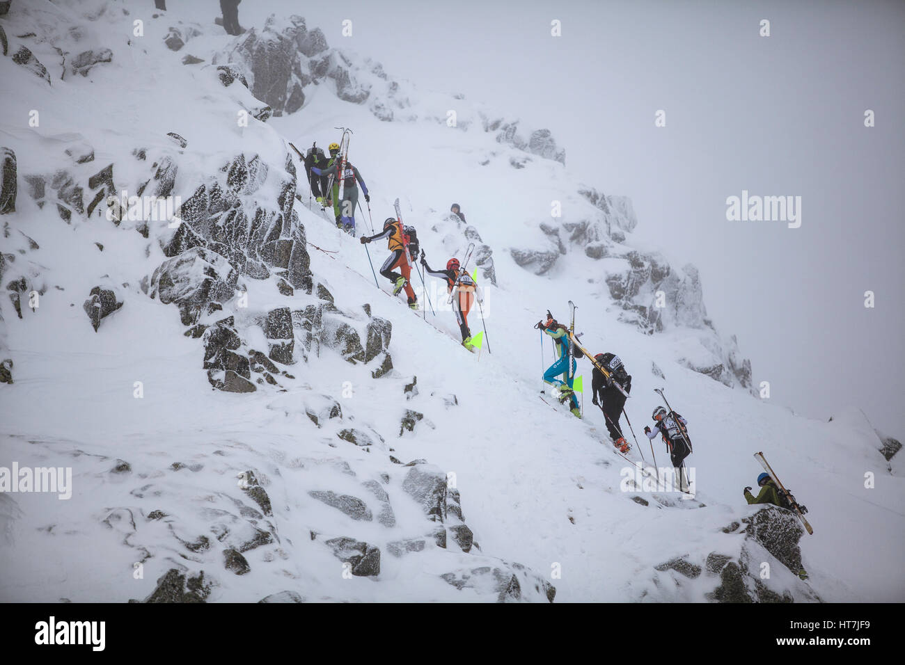 Pole climbing competition hi-res stock photography and images - Alamy