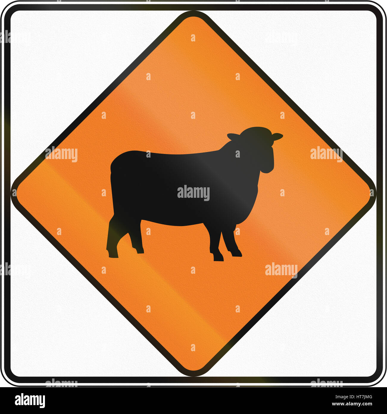 New zealand sign sheep hi-res stock photography and images - Alamy