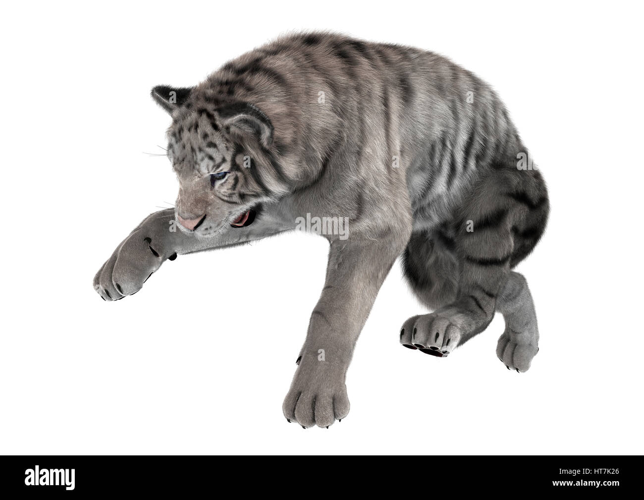 White Tiger Jumping 3d Rendering White Tiger Jumping Hi Res Stock
