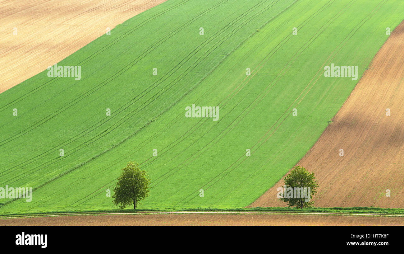 Agricultural background hi-res stock photography and images - Alamy