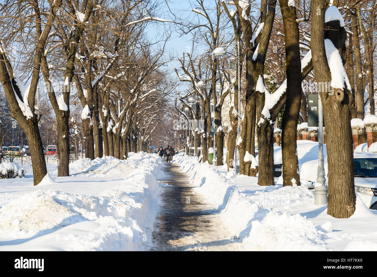 BUCHAREST, ROMANIA - JANUARY 12, 2017: People Enjoying Sunny Winter Day ...