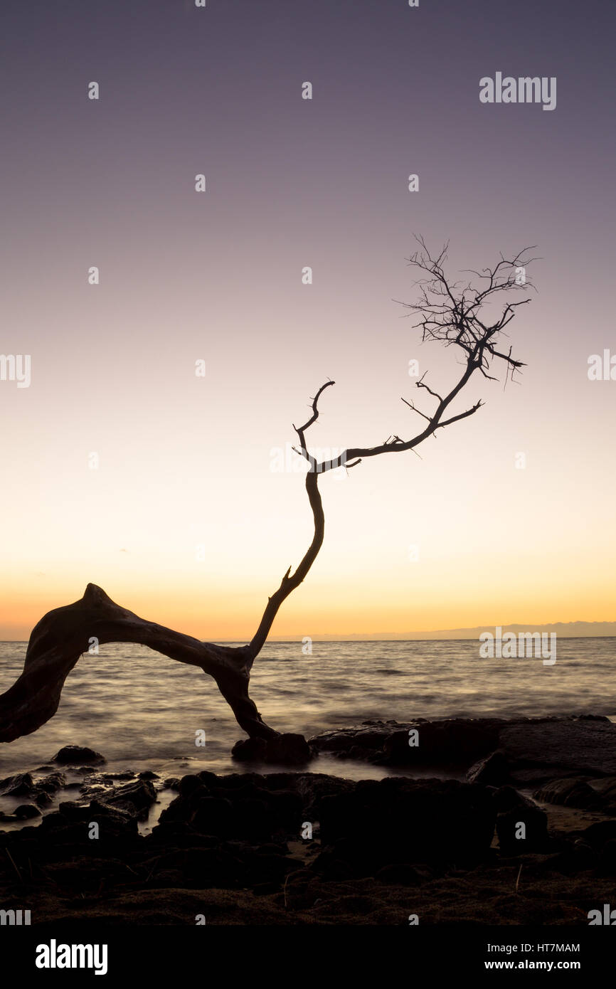 Beautiful hawaii sunset hi-res stock photography and images - Alamy