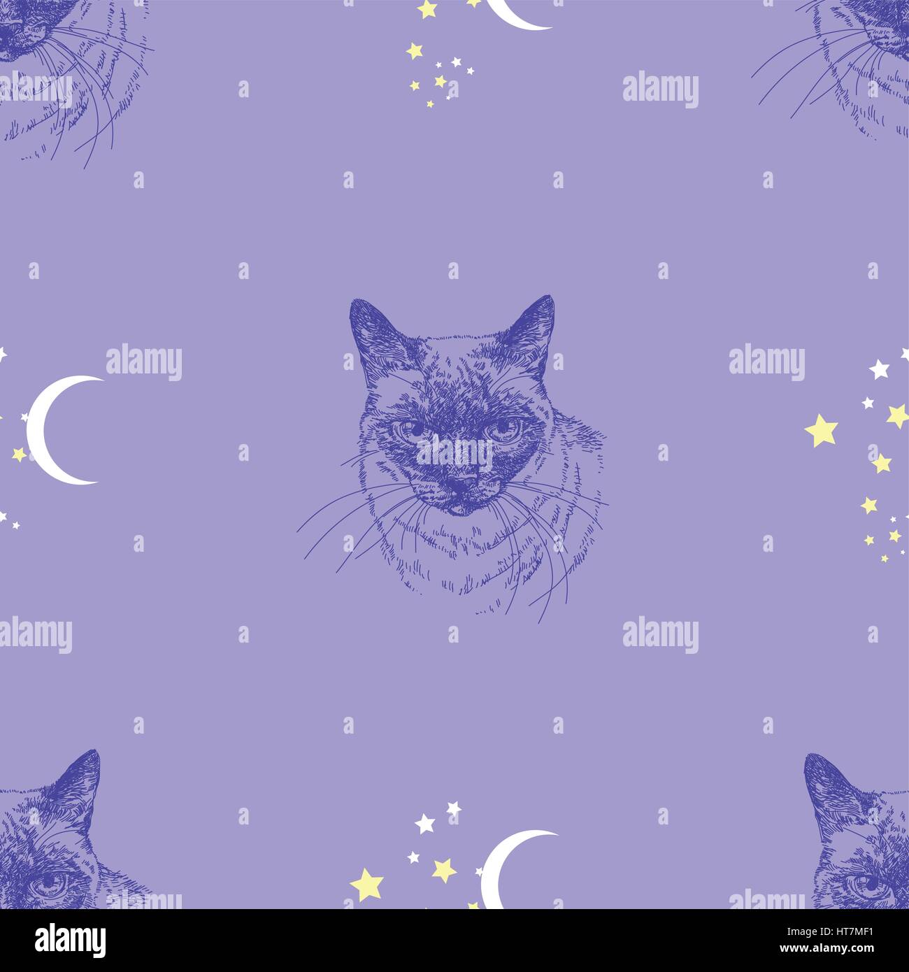 Cat looking stars hi-res stock photography and images - Alamy