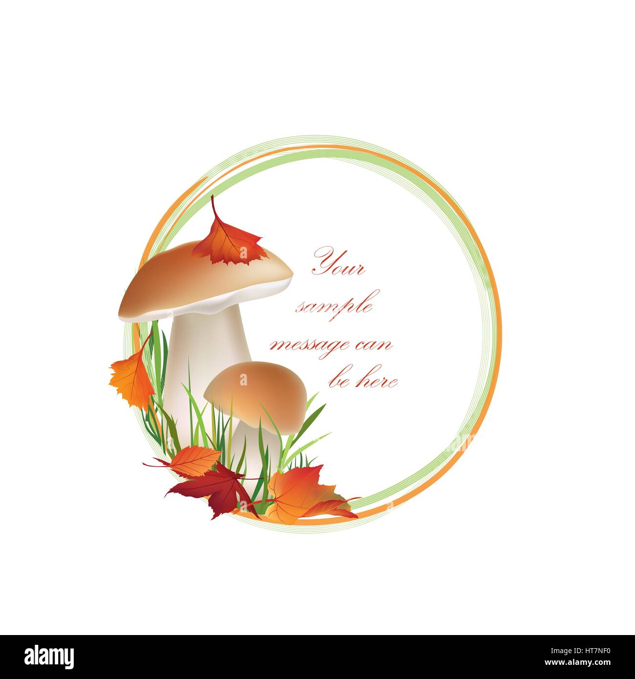 Autumn frame. Mushrooms Chanterelle mushroom vector background with ...