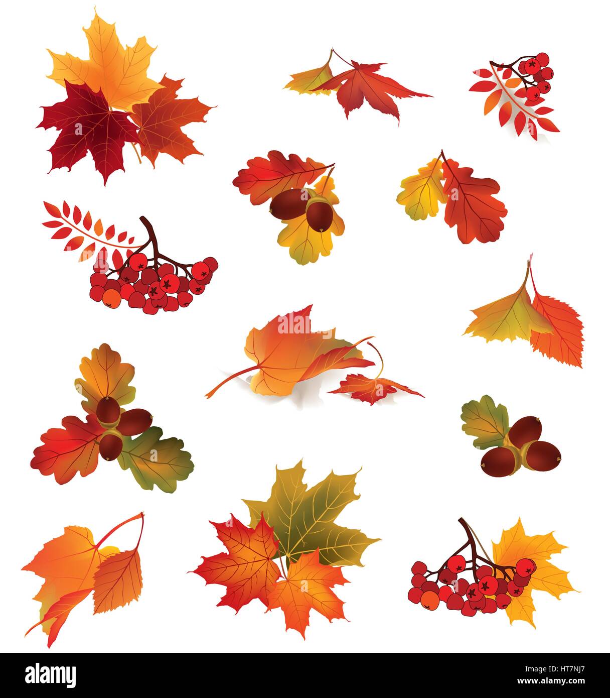 Autumn Leaves Clip Art Free