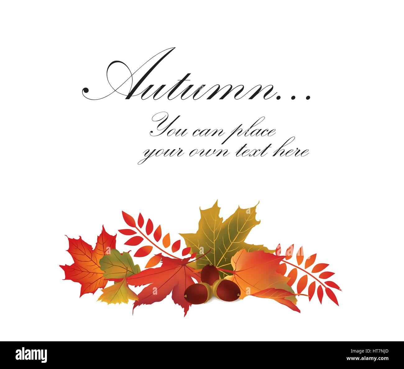 Horizontal plant motif set Stock Vector Images - Alamy