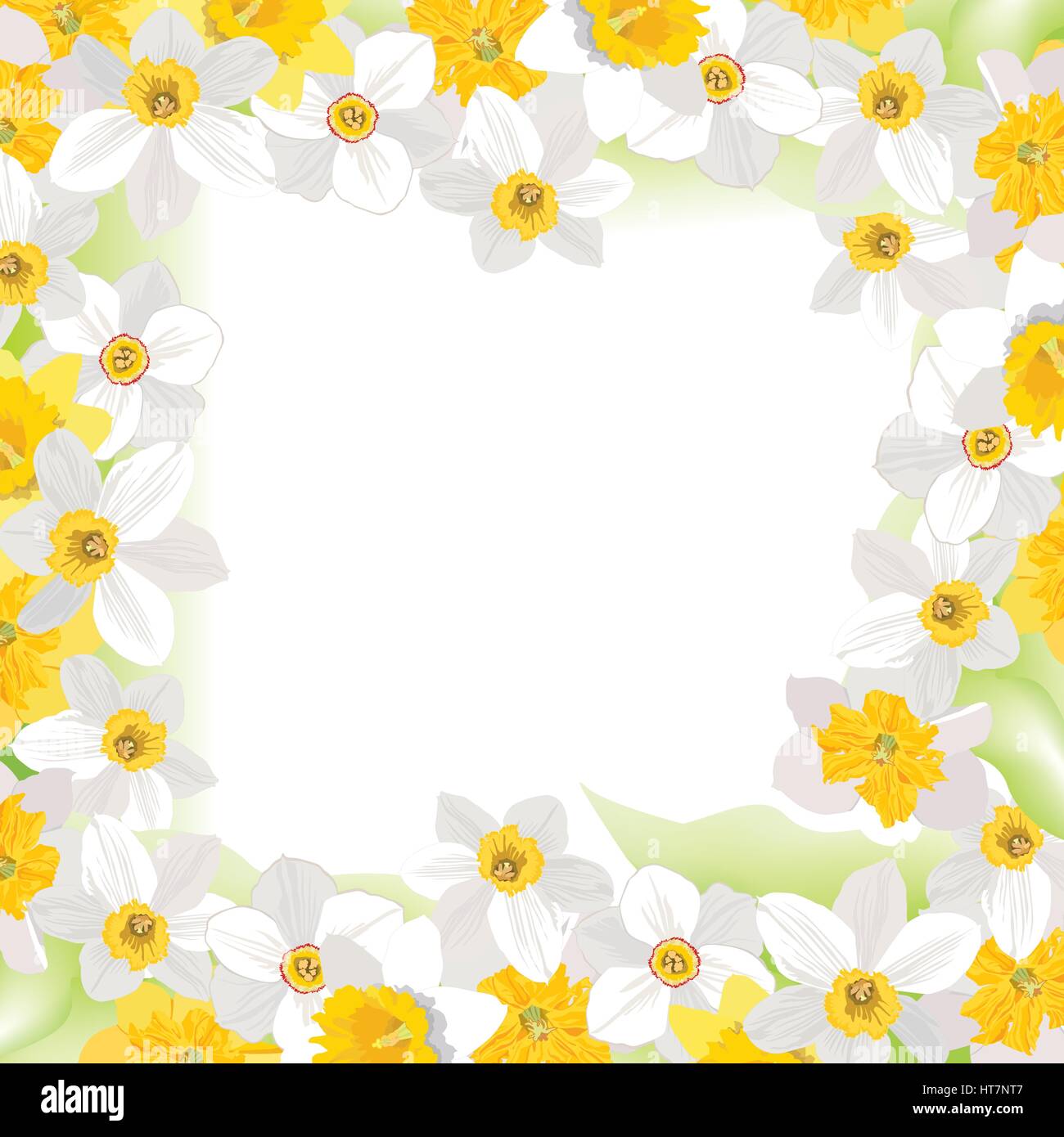 Floral background. Flower bouquet cover. Flourish greeting card Stock ...