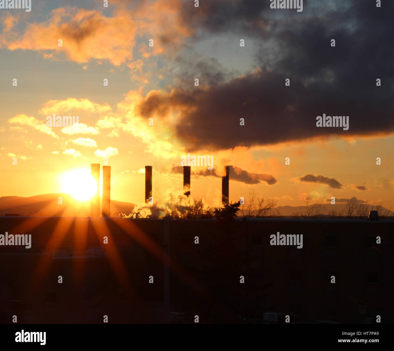 Black white smoke trees hi-res stock photography and images - Alamy