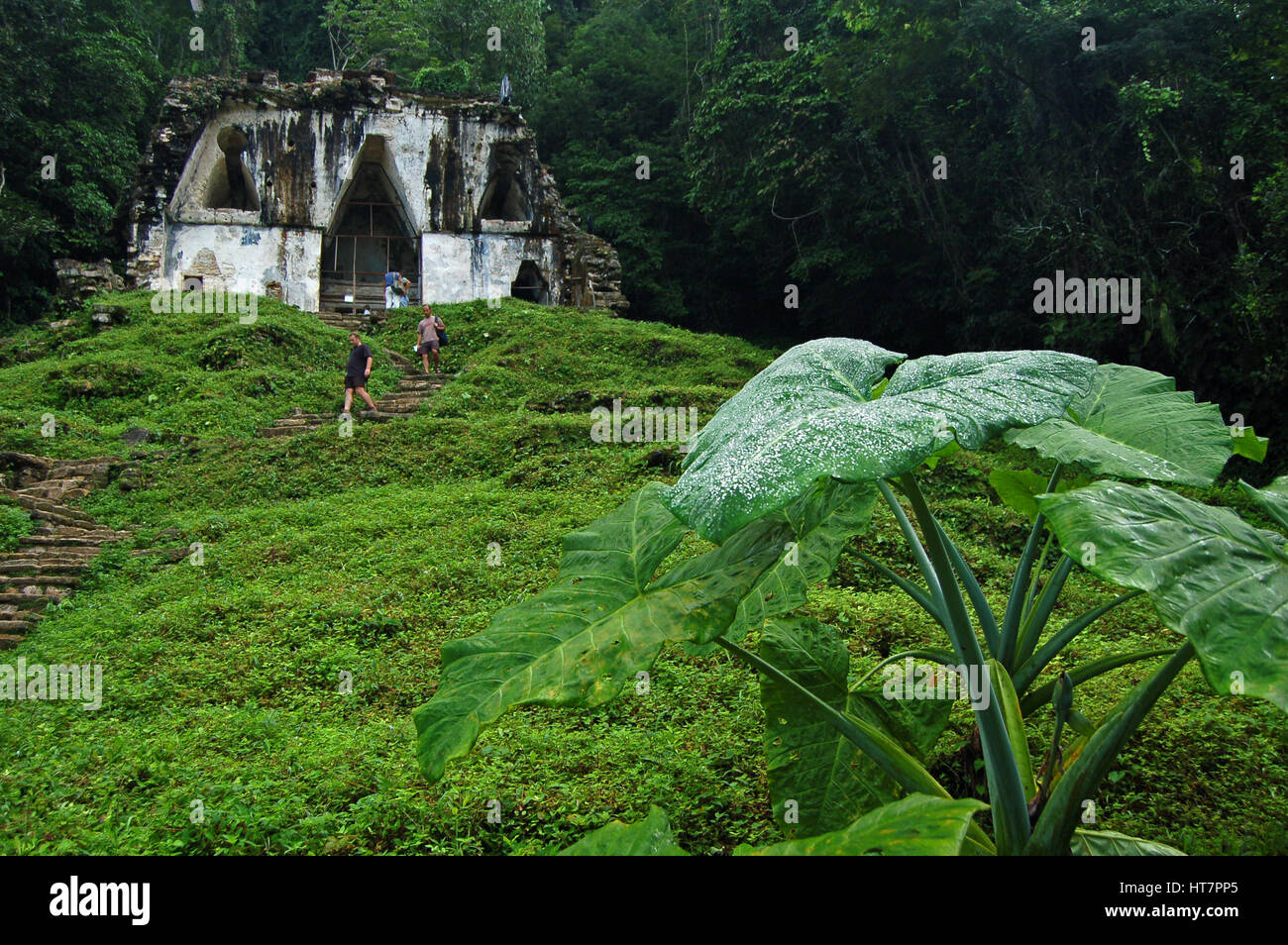 Temple of the Foliated Cross / Palenque, Mexico Stock Photo - Alamy