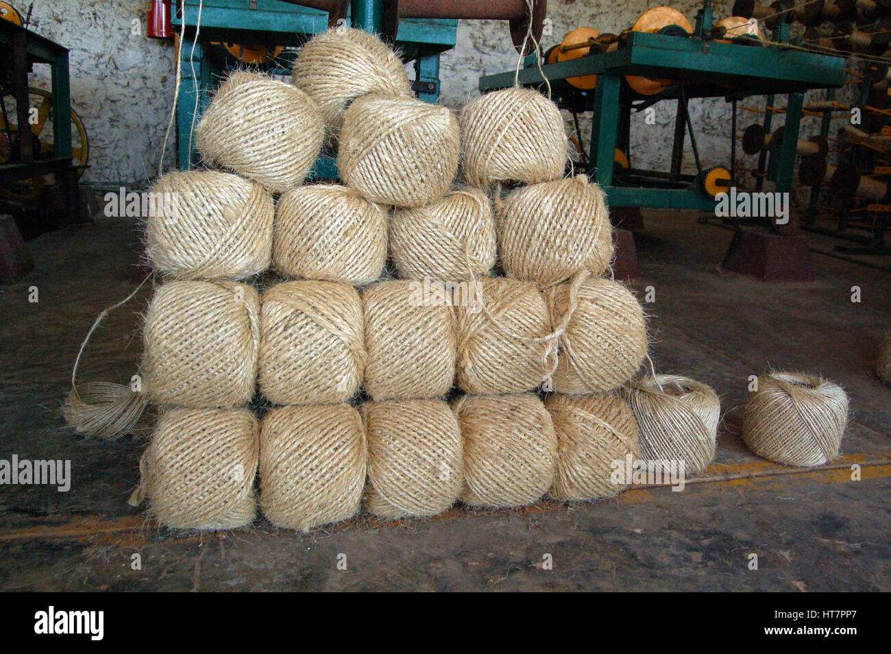 Sisal plantation / Merida, Mexico Stock Photo - Alamy