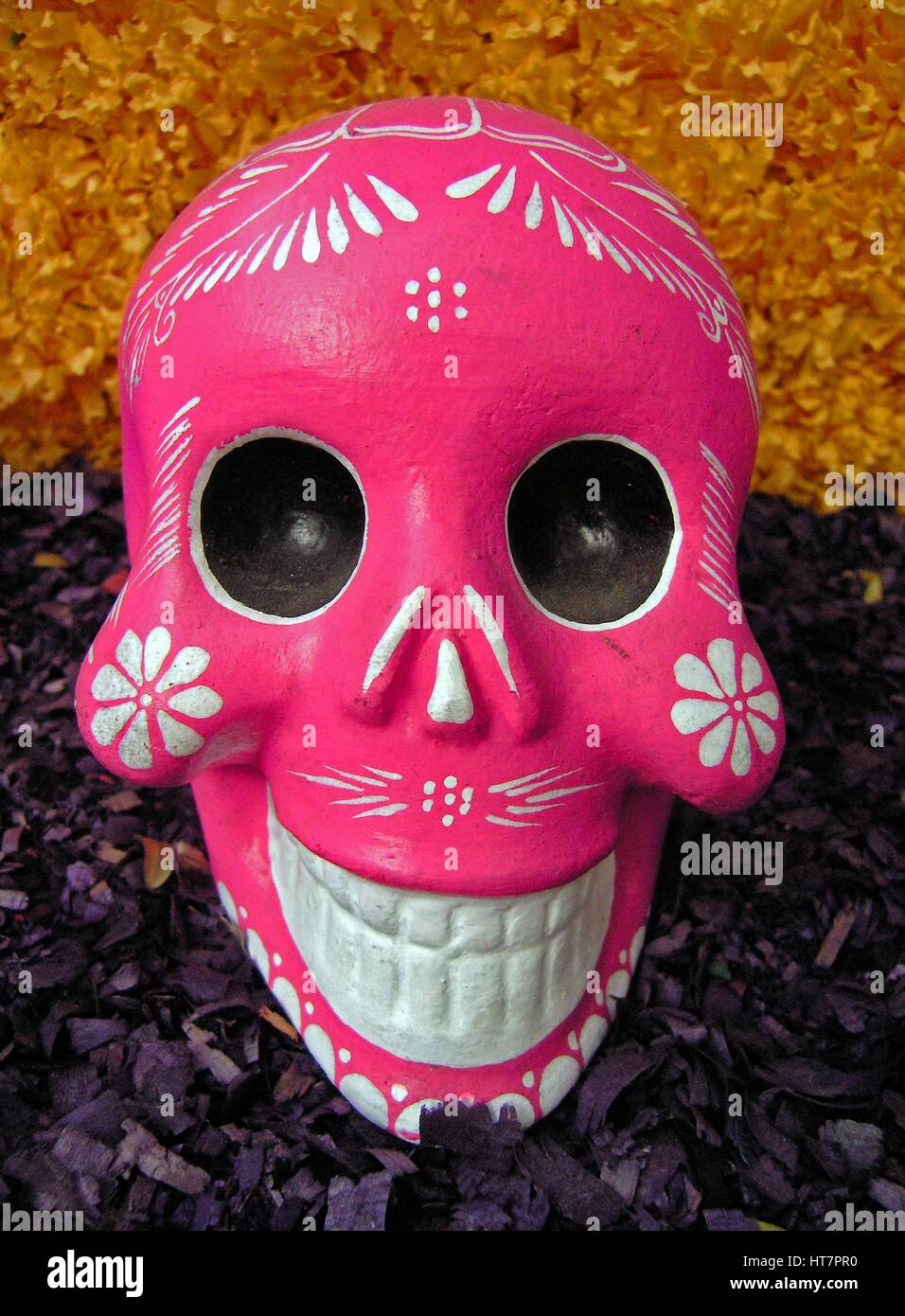 Painted skull / Mexico City, Mexico Stock Photo - Alamy