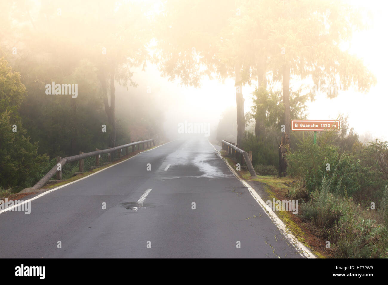 Road rough texture. Black asphalt with white line middle. Divided way ...