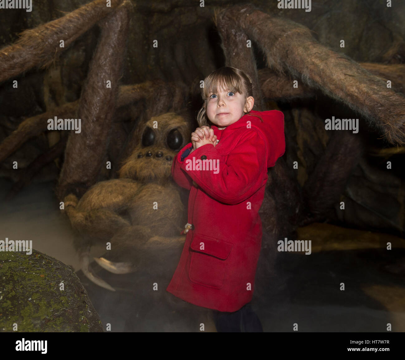 Harry Potter Photocall at Warner Brothers Studio, Watford, UK Stock ...