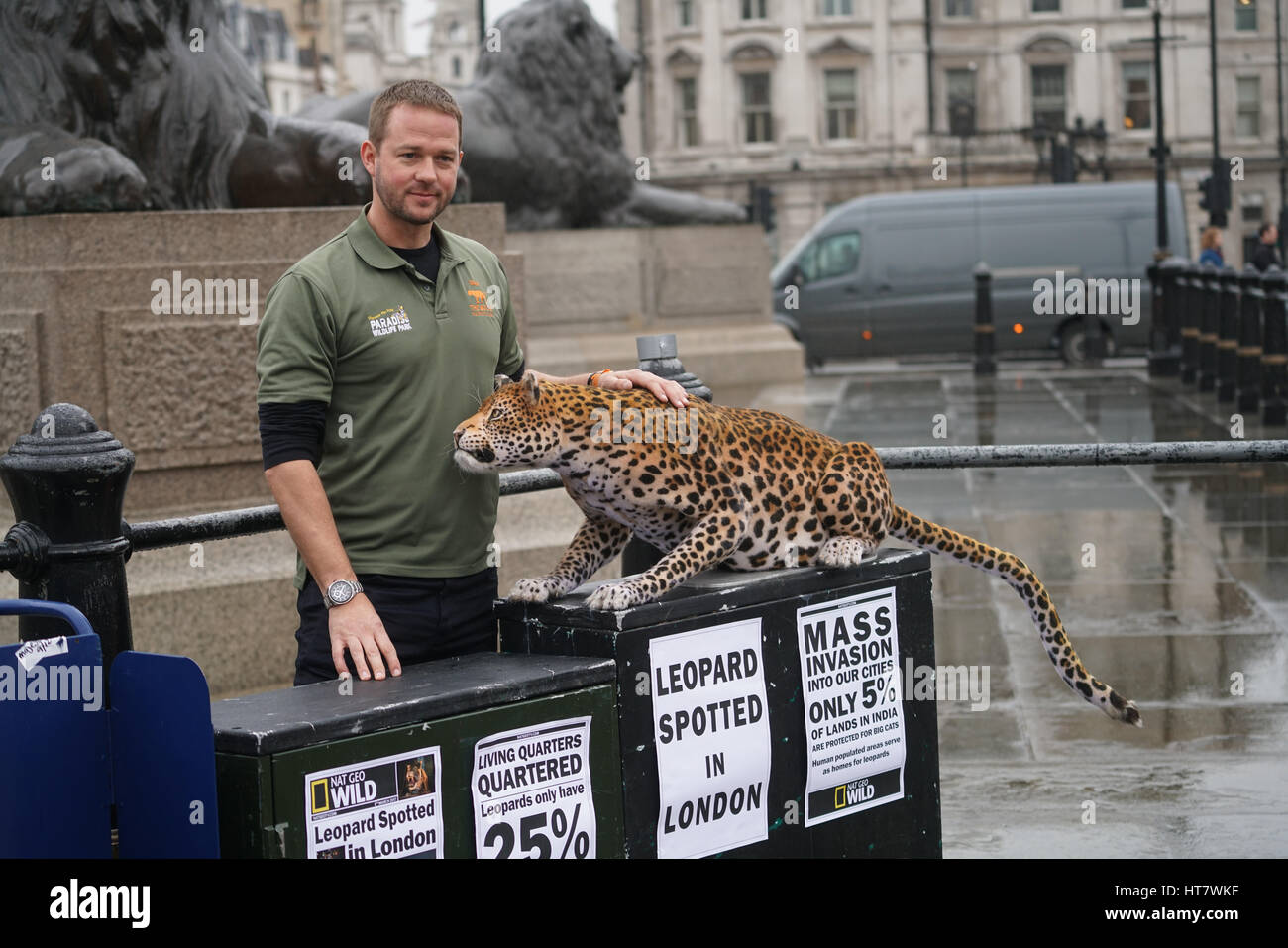 London, England, UK. 8th Mar, 2017. Leopard loose in London World's ...