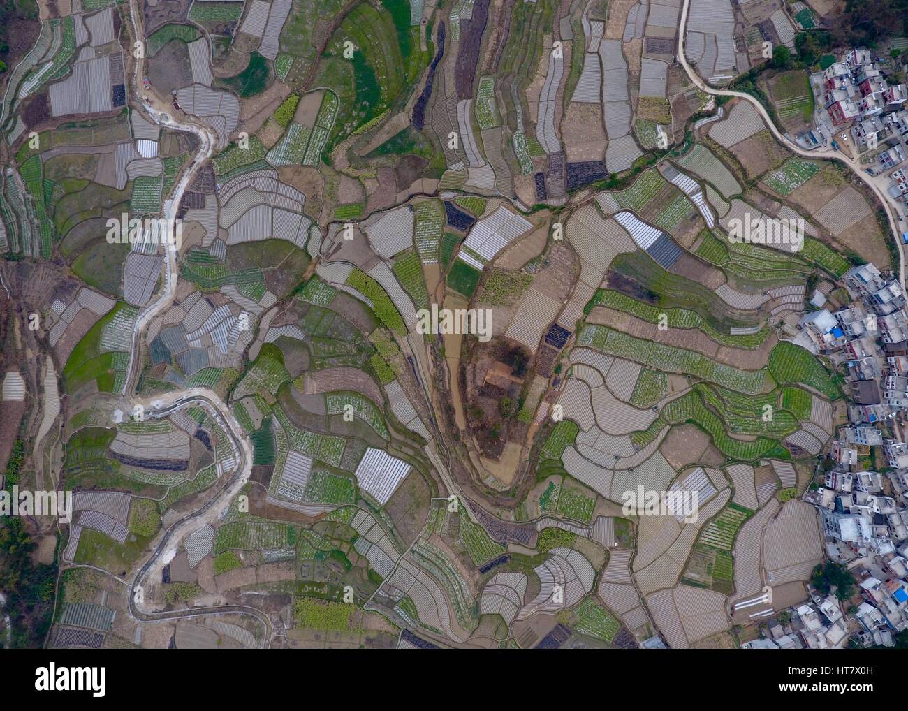 Longlin hi-res stock photography and images - Alamy