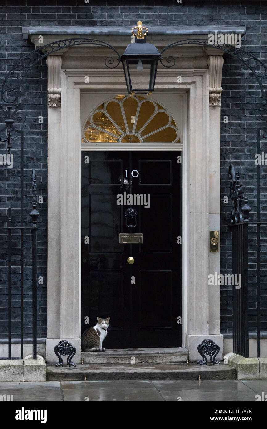 Number 10 Cat Larry High Resolution Stock Photography and Images - Alamy