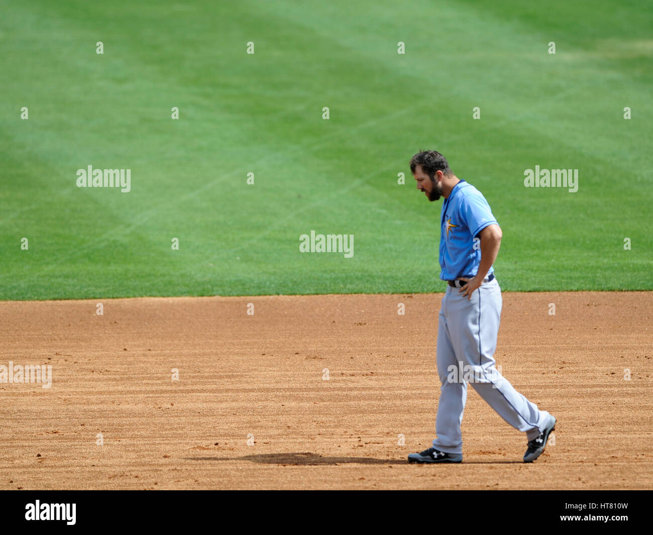 March 7, 2017 - Tampa, Florida, U.S. - CHRIS URSO | Times.Tampa Bay ...
