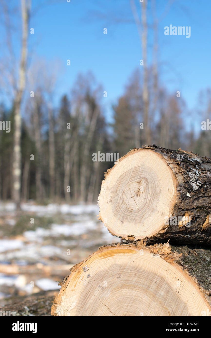 Ash and logs hi-res stock photography and images - Alamy