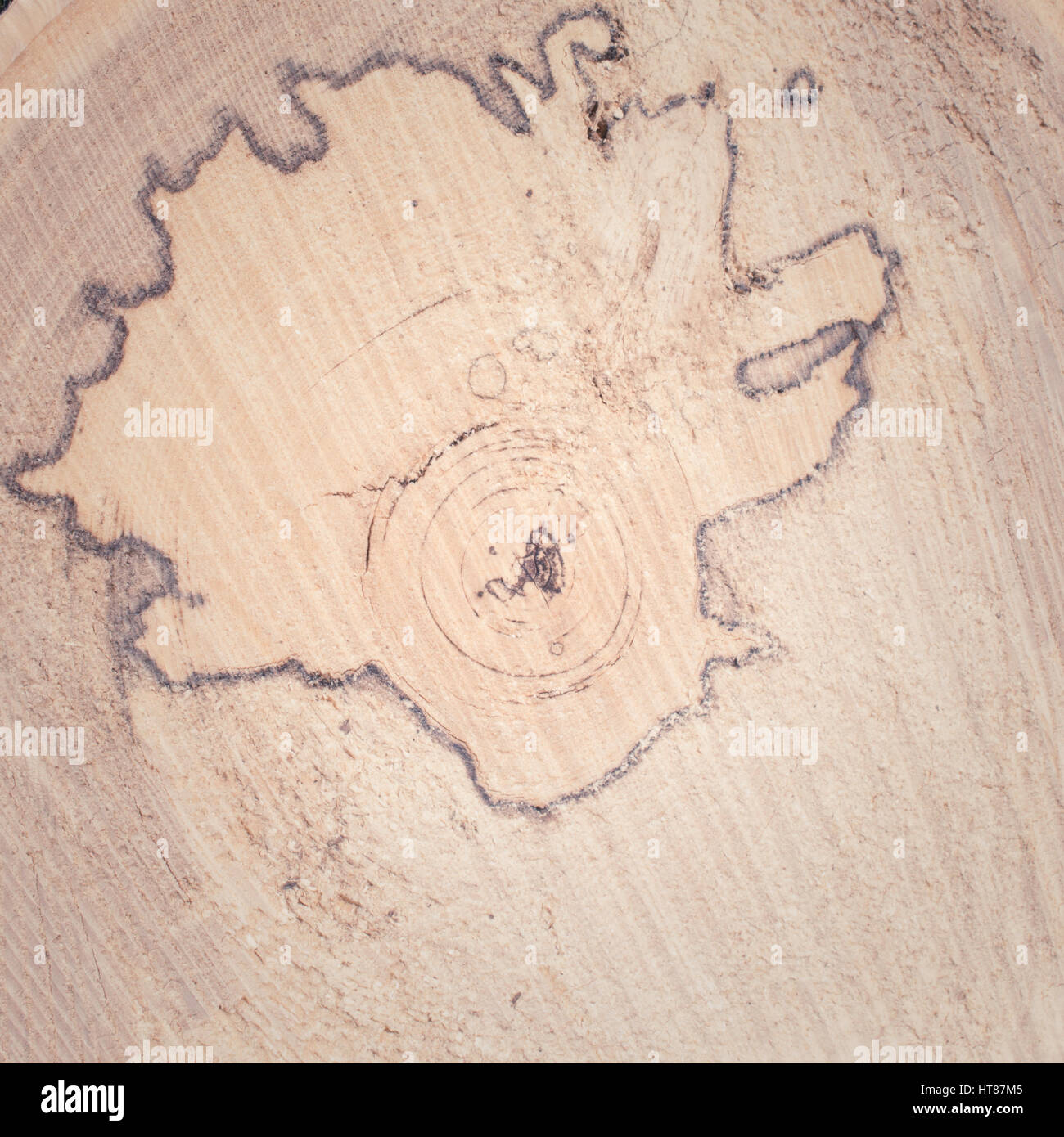 Ash log hi-res stock photography and images - Alamy