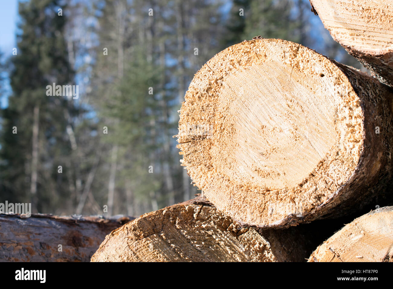 Tamarack log pile hi-res stock photography and images - Alamy