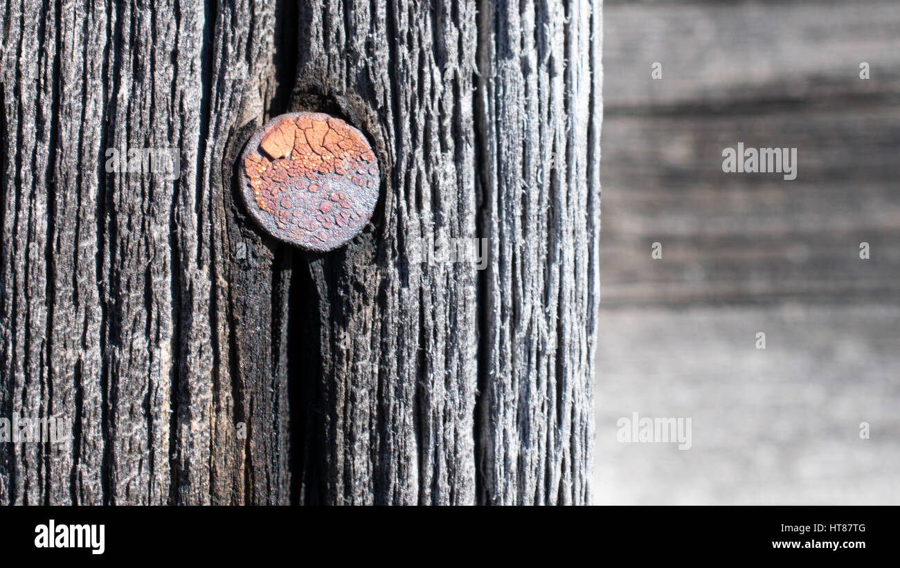 Rusty Nail in Abandoned Barn Door Stock Photo - Alamy
