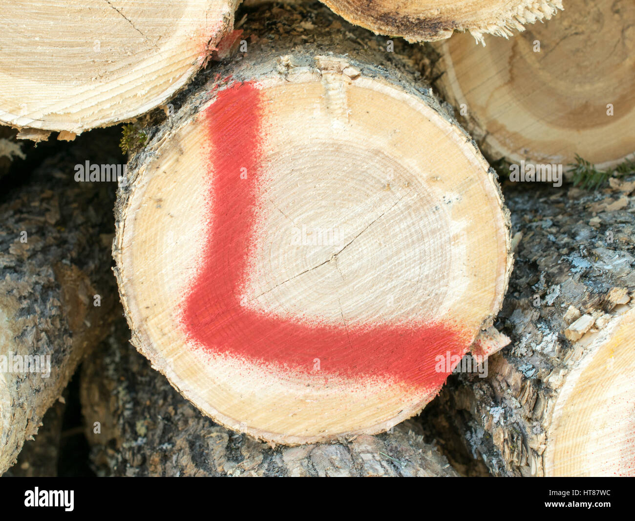 Letter L Spray Painted on Ash Log Stock Photo - Alamy