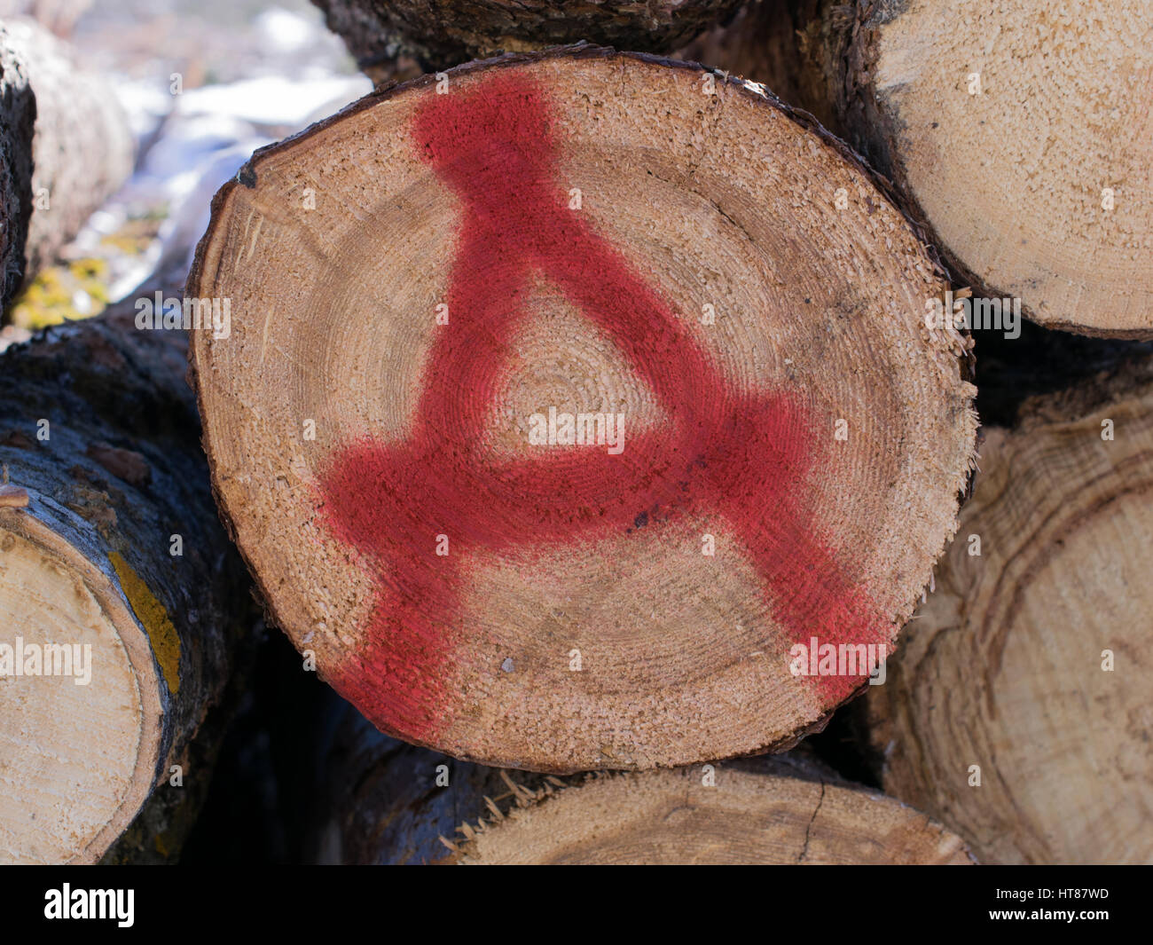Letter A Spray Painted on Aspen Log Stock Photo - Alamy