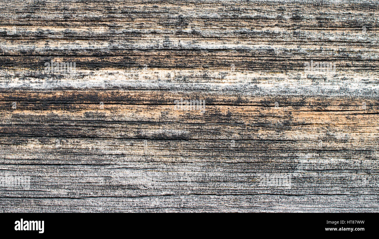 Weather Worn Barn Wood Stock Photo - Alamy