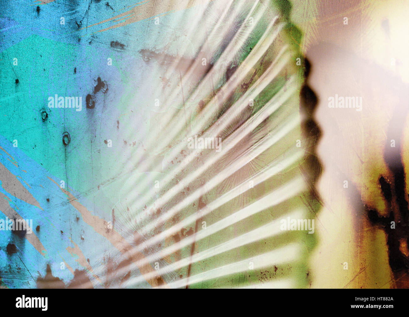 arrangement,art,beautiful,beautiful nature,color,colour,complex,layer ...