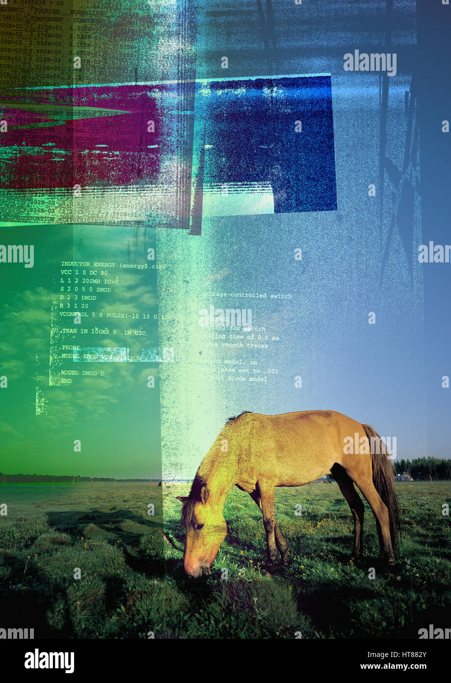 arrangement,art,beautiful,beautiful nature,color,colour,complex,layer ...