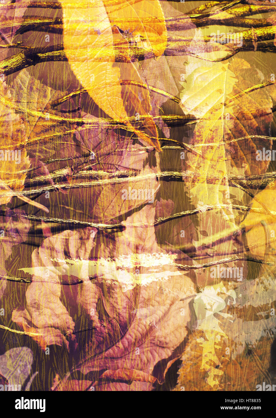 arrangement,art,beautiful,beautiful nature,color,colour,complex,layer ...