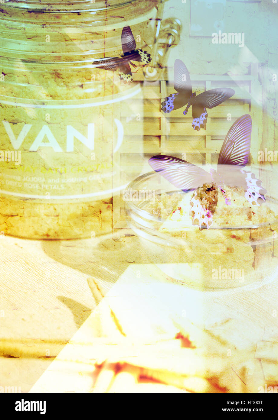 arrangement,art,butterfly,color,colour,complex,layer,concept ...