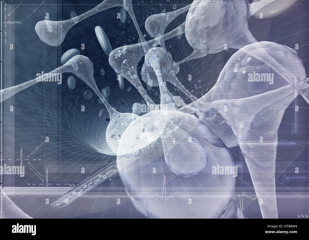 biology,cell,close-up,cluster,color,colour,computer graphics,digitally ...