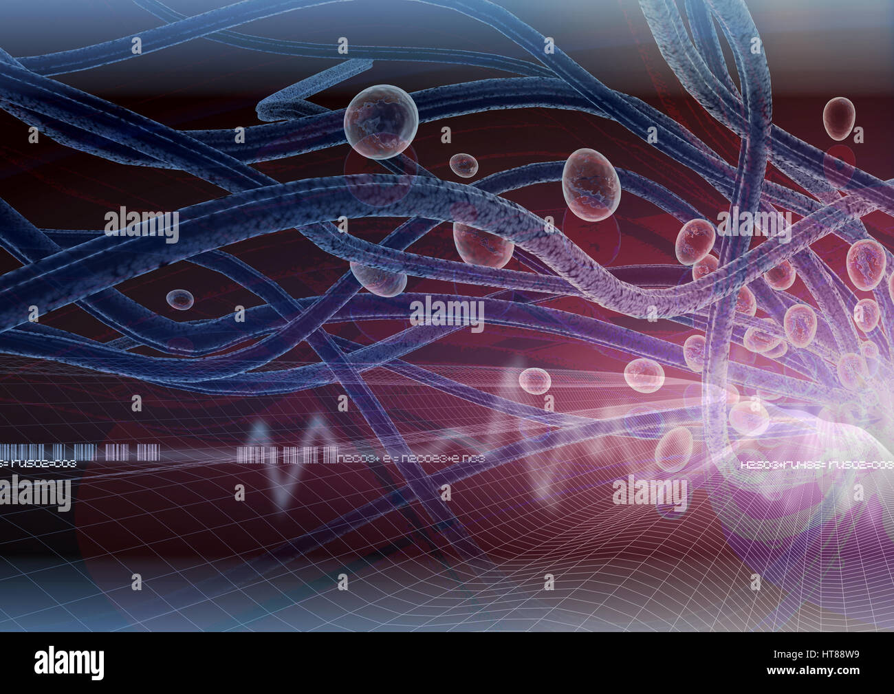 biology,cell,close-up,cluster,color,colour,computer graphics,digitally ...
